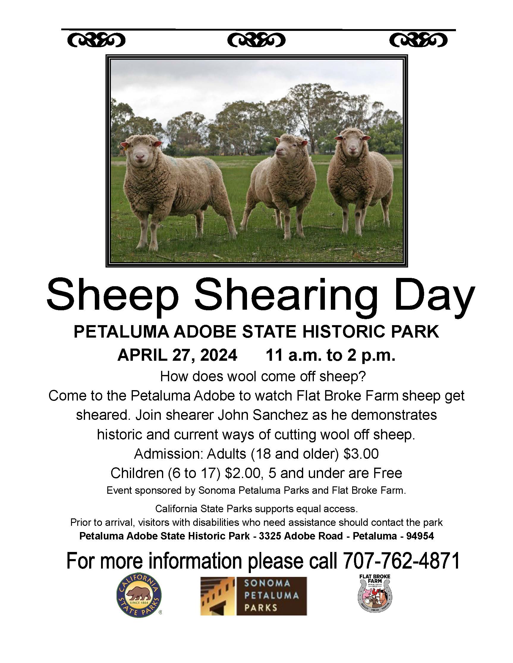 Sonoma Parks » Sheep Shearing Day